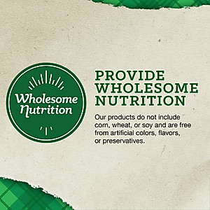 Nutrena Loyall Life Adult Chicken & Brown Rice Dog Food (20 Pounds)