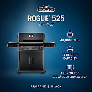 Napoleon Propane Gas Grill
