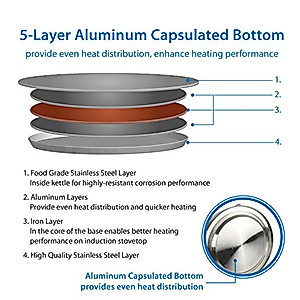 Creative Home Nobili-Tea 1.0 Quart Stainless Steel Tea Kettle with Removable Infuser Basket and Aluminum Capsulated Bottom for Even Heat Distribution, Metallic Cranberry