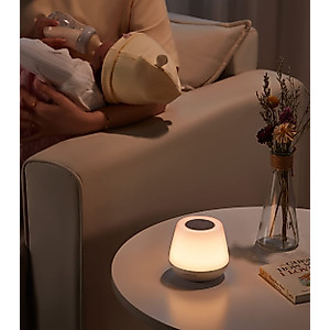 Lyridz Nursery Night Light for Babies, LED Rechargeable Bedside Touch Sensor Lamp for Kids Breastfeeding, 2 Colors Dimmable Egg Night Light, Timer, 2500mAh Lithium Battery