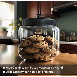 HomeyHoney Large Glass Kitchen Canister Set, Food Storage Containers for Cookie Candy Flour. Laundry Room Organization Jars, Laundry Pods Container, 3 Liters, 0.8 Gallon, 105 oz. (XL Set of 2)