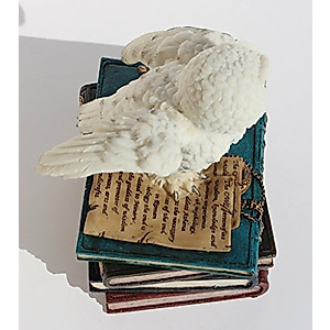 US 4.75 Inch Snow Owl Flap Wings on Books Trinket Box, White Color