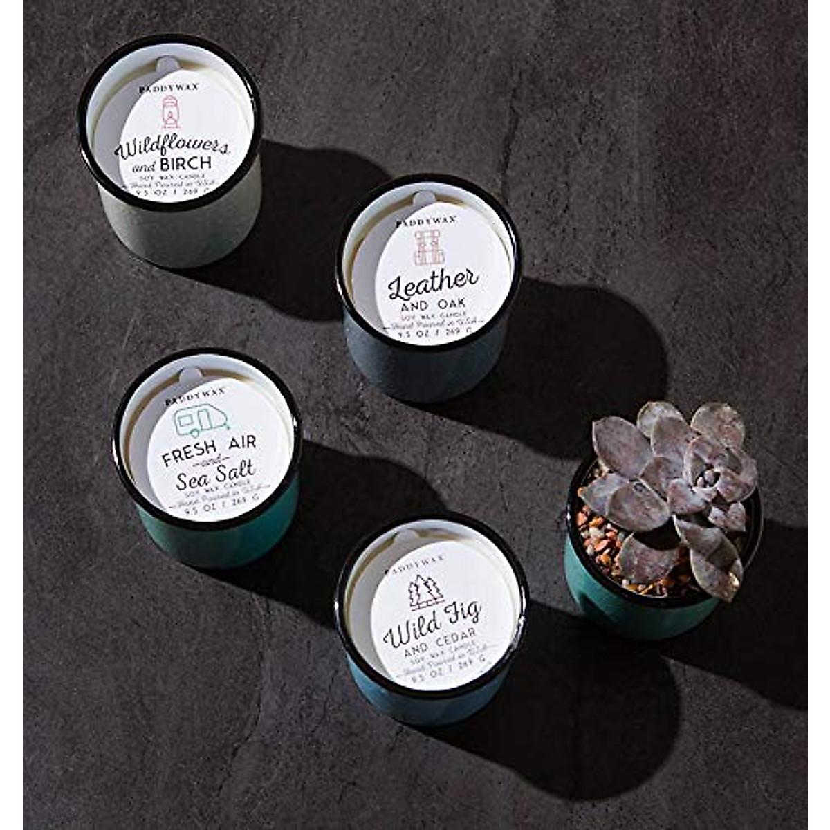 Paddywax Alpine Collection Scented Soy Wax Candle, 9.5-Ounce, Wild Fig and Cedar