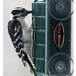 Kettle Moraine Window Mount Single Suet Cake Woodpecker Bird Feeder