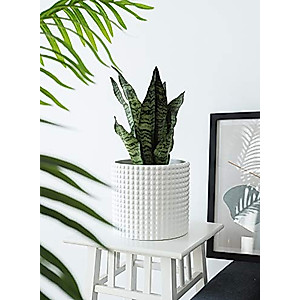 Shiny White Planter Pots for Plants Indoor - 8 Inch Ceramic Vintage-Style Hobnail Textured Flower Pot with Drainage Hole for Modern Home Decor(POTEY 056301, Plants NOT Included)