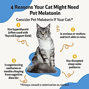 Pet Wellbeing Pet Melatonin for Cats - Vet-Formulated - Support for Feline Hyperthyroid, Natural Relaxant, Sleep Support - Liquid Supplement 2 oz (59 ml)