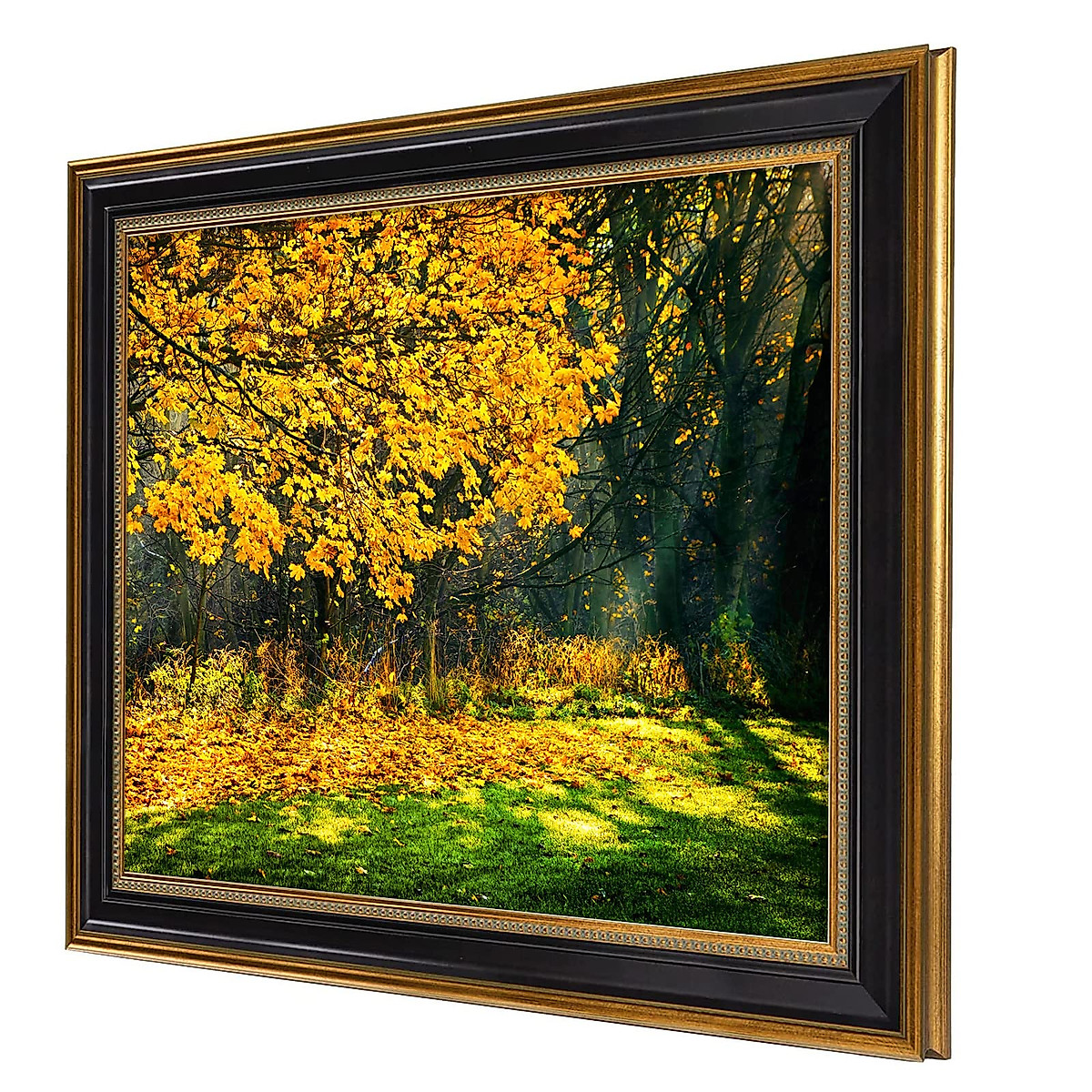 Space Art Deco, 16x20 Picture Frame without Mat for 16x20 Poster/Photo/Print, Shatter-Resistant Real Glass Wall Mounting Display (Black and Ornate Gold Design, 1-Pack)