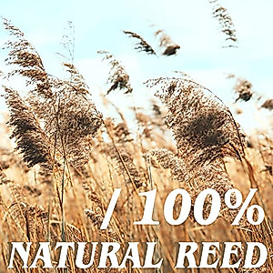 Tgzwme Natural Reed Fence Roller Blind,6FT X 16.4FT Bamboo Fencing Privacy Reed Screening for Outdoor, Gallery, Restaurant, Hotel, Patio