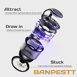 BANPESTT Fruit Fly Trap Indoor, Gnat Traps for House, Mosquito Trap Indoor Insect Traps with Suction, Dusk-to-Dawn Sensor Function, Bug Light & 6 Sticky Glue Boards (Black)