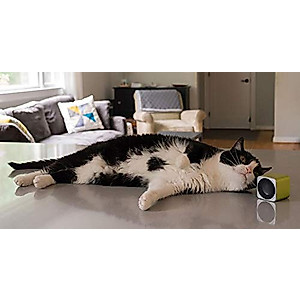 Pet Acoustics Feline Extra Calm Music SD Card