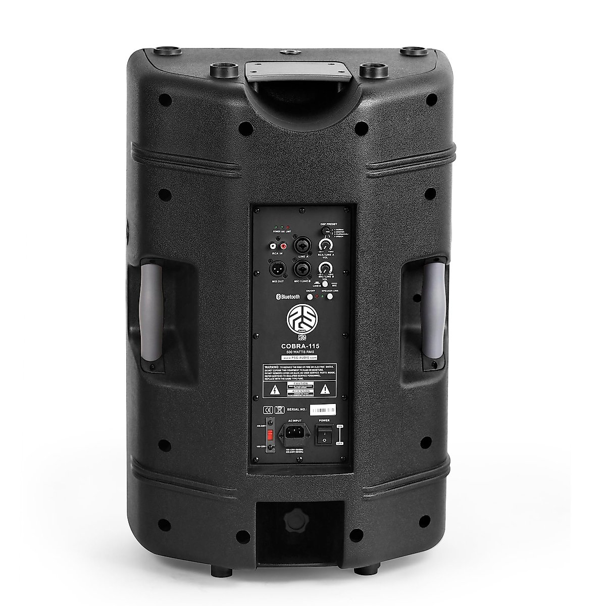 PSG AUDIO Cobra 115 Professional Active Speaker 2000 Watts with Bluetooth PA Speaker, 2-Channel Mixer with DSP Control, Ideal for Musicians, Churches, DJs. (Designed in USA) Support US Business