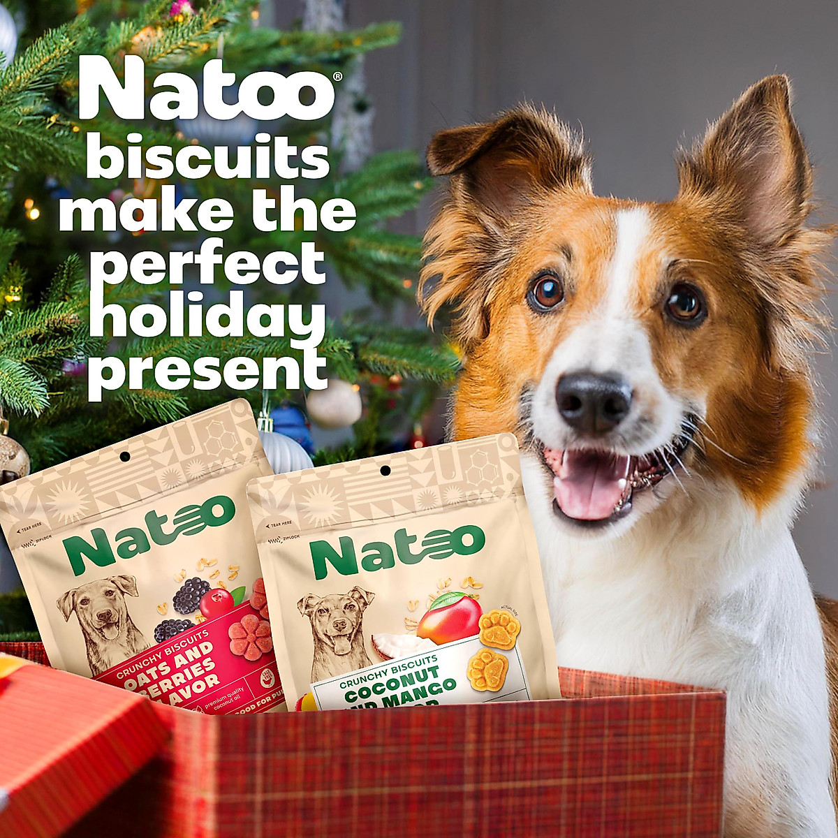 NATOO Dog Biscuits for Small Dogs & Puppies Crunchy Dog Treats, Oats & Berry Healthy Natural Dog Biscuits, Rich in Omega 6, Prebiotics & Fibers, Antioxidants for Immunity (8 oz)