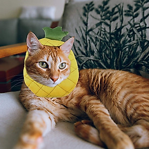 balacoo Elizabeth Circle Cat Healing Collar Small Puppy Collar Catton cat Collar Bite Collar Cat Neck Collar Puppy Collars Adjustable Cat Collar Dog Collar pet Fabric Headgear