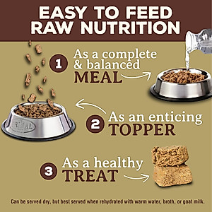 Primal Freeze Dried Raw Cat Food Nuggets Venison, Complete & Balanced Meal or Topper, Premium, Healthy, Grain Free, High Protein Raw Cat Food with Probiotics (5.5 oz)