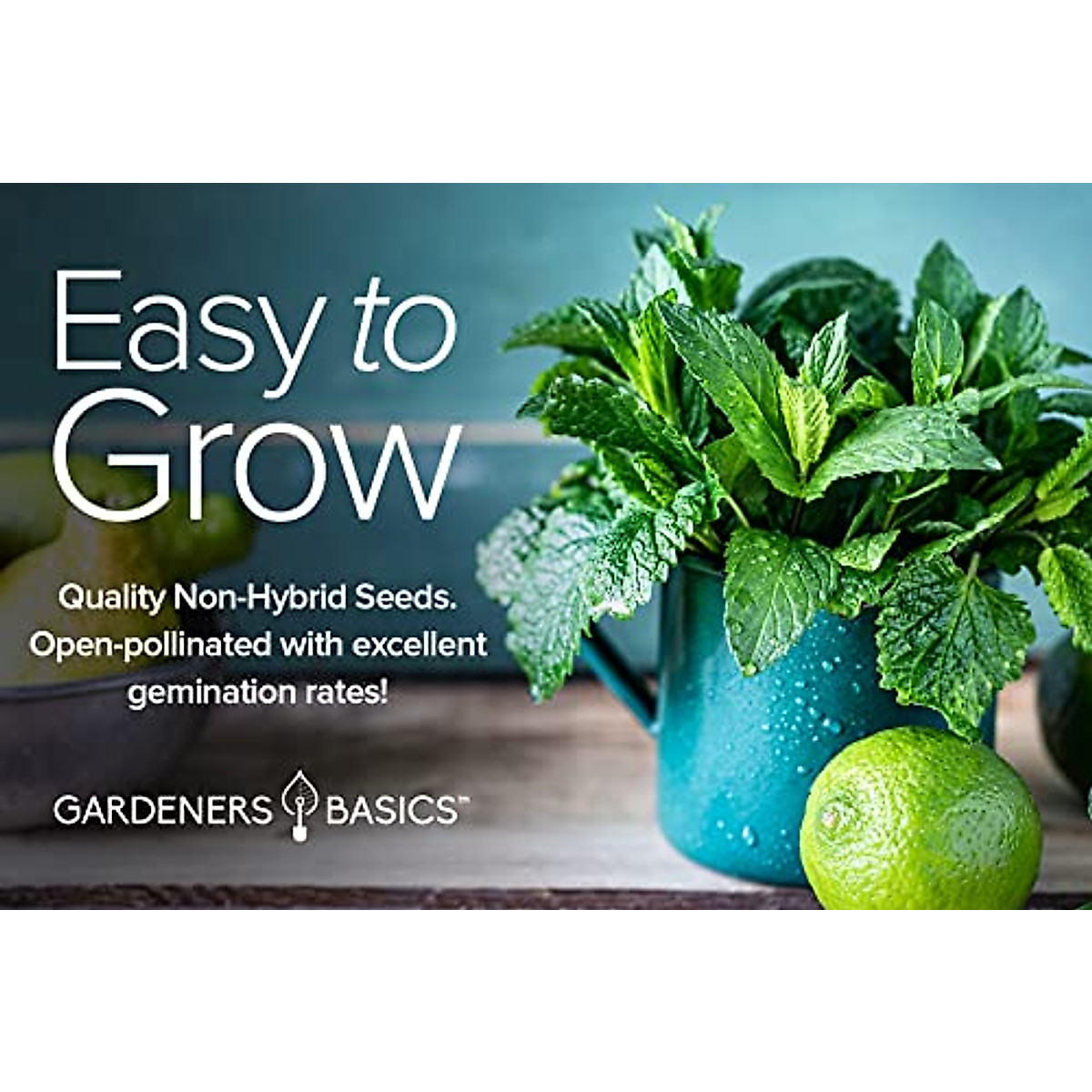 Herbal Tea Seeds for Planting Indoors and Outdoors 5 Variety Packets Echinacea, Peppermint, Lavender, Chamomile and Lemon Balm - Great for Kitchen Herb Garden Heirloom Herb Seeds - Gardeners Basics