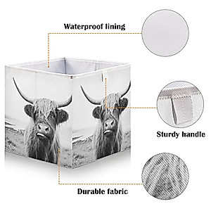 WELLDAY Storage Basket Highland Cow Foldable 11 x 11 x 11 in Cube Storage Bin Home Decor Organizer Storage Baskets Box for Toys, Books, Shelves, Closet, Laundry, Nursery