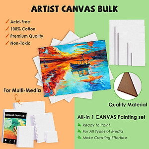 Canvases for Painting, Painting Supplies with 20 Cotton Canvas Panels, 4x4, 5x7, 8x10, 9x12, 11x14 inches (4 of Each), with 24 Acrylic Paints, 10 Brushes, Painting Canvas Set for Multimedia