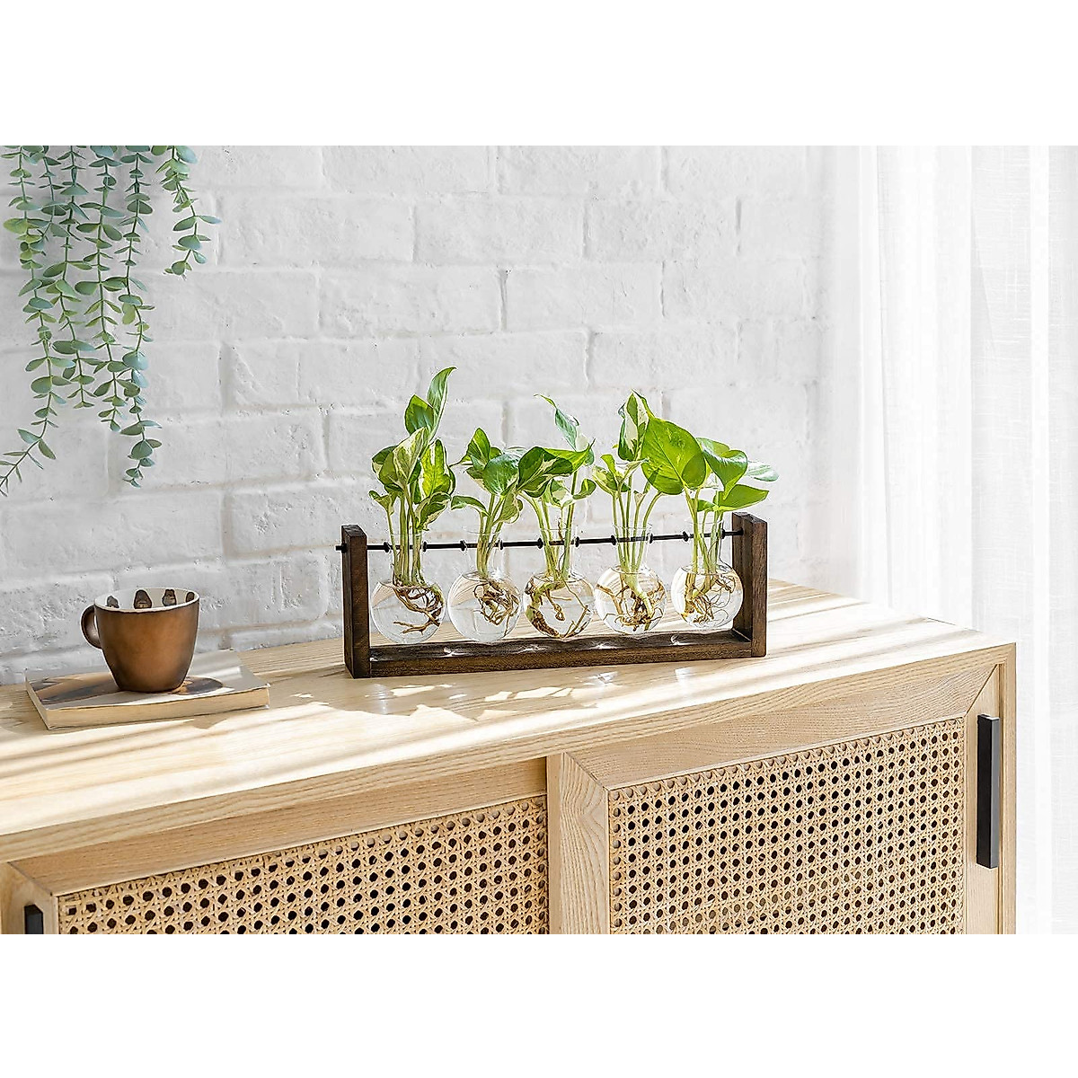 Mkono Plant Terrarium with Wooden Stand, Wall Hanging Glass Planter Desktop Glass Bulb Vase Retro Wooden Holder for Propagating Hydroponics Plants Pothos Home Office Garden Decor