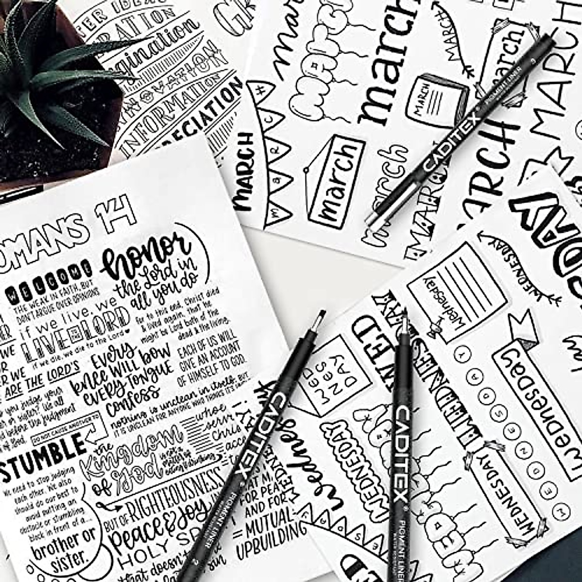 Calligraphy Pens, CADITEX 8 Size Calligraphy Pens Set for Beginners Drawing, Writing