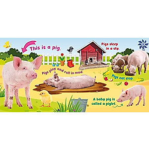 First Animal Facts: Farm-5 Button Animal Sounds Book