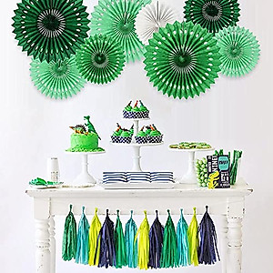 BEISHIDA Green White Party Decoration Hanging Honeycomb Round Paper Fans Kit for Dinosaur Theme Birthday Baby Shower Summer Forest Carnival St.Patrick's Irish Backdrop Party Supplies（11packs）