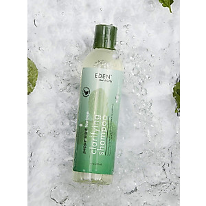 EDEN BodyWorks Peppermint Tea Tree Clear Clarifying Shampoo for Oily Hair, Dry Hair, Curly Hair - Scalp Cleansing Shampoo for Build Up & Dandruff - Paraben & Sulfate Free - 8 oz.