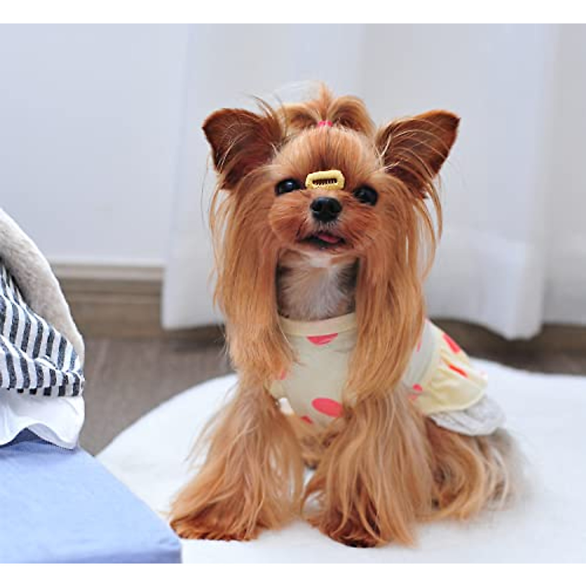 MSNFOASM 2Pcs-Pet Dog Elastic Soft Dress,Cute Polka Dots Lace Skirt for Small Dogs Cats（White&Pink S）