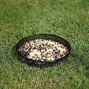 FLINTER Hanging Bird Feeder, Bird Feeder Hanging for Garden Yard Outside Hanging Bird Feeder Tray - Metal Mesh Platform Feeders for Birds Outside Outdoors Hanging for Attracting Birds - Genuine