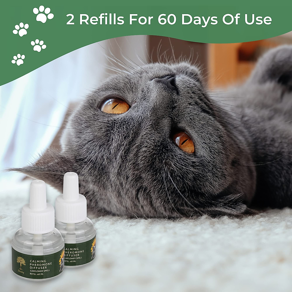 Daintry Cat Calming Diffuser with Feline Pheromones, Sunflower Scent, Stress & Anxiety Relief for Cats, 30-Day 2 x 48 ml Refills, Easy Plug-in Solution for Calming. Diffuser not Include