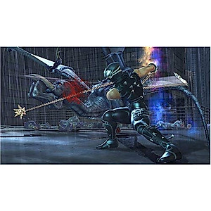 Ninja Gaiden II (Renewed)