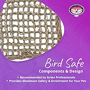 Super Bird Creations SB50006 Seagrass Mat for Cage Decor, Pet Enrichment and Boredom Relief - Versatile Toy-Making Base - Ideal for Parrots - Small to Large Birds & Reptiles - 12"x14" (3 Pack)