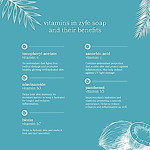 ZYFE Vitamin Liquid Hand Soap | All 4 Fragrances of Natural Plant Derived Moisturizing Handsoap with Essential Oil Fragrance | Soft Hand Wash for Kitchen & Bathroom with Pump 12oz | Lush Soft Soap