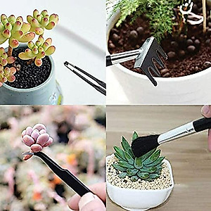 CFH-ALLEZ 17 Pieces Succulent Plants Tools,Gardening Succulent Transplanting Hand Tool +Succulent Garden Pad Miniature Planting Collapsible Waterproof Planter Gardening Mat+Garden Bucket Bag (Green)1