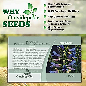 Outsidepride Perennial Penstemon Electric Blue Garden Flowers Attracting Butterflies & Hummingbirds - 25 Seeds