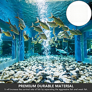 Kichvoe 6pcs Fish Tank Divider Grid Aquarium Grid Dividers Fish Tank Divider Plates Mesh Divider Aquarium Supplies Fish Tank Grid Divider Bottom Partition Net Aquarium Bottom Divider