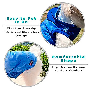 SILOPETS Puppy Clothes for Small Dogs Boy Hooded - Soft and Stretchy Small Puppy Clothes to Daily Walks - Sleeveless Puppy Clothes Boy (Sky S) Green