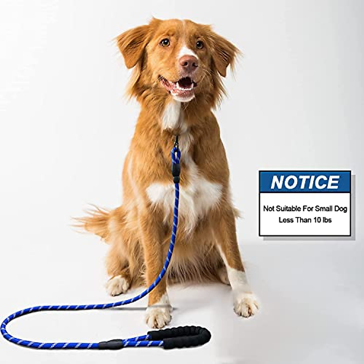 Brilliant Paw Strong Rope Dog Leash 5Ft, Durable Nylon Dog Leash, Dog Lead, with Highly Reflective Thread and Comfortable Soft Padded Handle, Heavy Duty Dog Leash for Medium, Large Dog, Navy Blue…