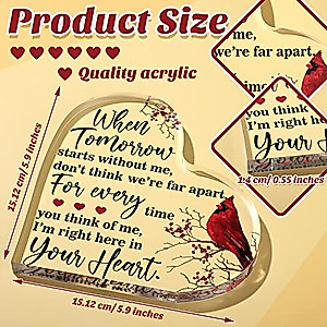 Yulejo Red Cardinal Gifts Sympathy Gifts Memorial Gift for Loss of Loved One Sympathy Decorations Acrylic Glass Heart Memorial Gift Table Centerpieces Remembrance Decor (Novelty Style)