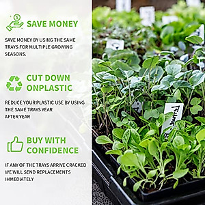 DDJKCZ 1020 Plant Growing Trays Without Holes