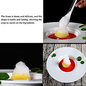 DUEBEL Foam Kit for Molecular Gastronomy Cooking, Molecular Gastronomy Foam Generator Kit, Efficient Foam Making Kit for Food, Creative Chef Cooking Tool for Progressive Cuisines Culinary