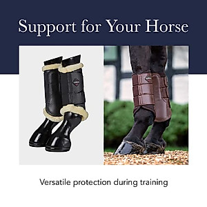 LeMieux Mesh Brushing Horse Boots - Protective Gear and Training Equipment - Equine Boots, Wraps & Accessories (Black - XLarge)