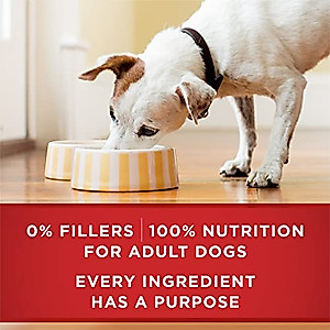 Purina ONE Tender Cuts in Gravy Beef and Barley Entree in Wet Dog Food Gravy - (12) 13 oz. Cans