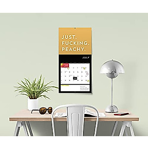 A F*cking 2022 Wall Calendar: Get Your Sh*t Together This Year - Includes Stickers! (Funny Monthly Calendar, White Elephant Gag Gift for Adults) (Calendars & Gifts to Swear By)