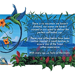 Magnum Exotics Coffee, Blue Mountain Coffee Blend - Medium-Light Roast, Whole Bean, Made from 100% Arabica Bean Coffee, Rich & Smooth Flavor, Fresh Roast - Blue Mountain Blend, 2 Lb