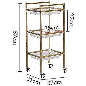 Utility Cart Lab Serving Cart, Medical Cart 3 Shelf Large Beauty Salon Trolley Cart Spa Storage Tray Therapy Dentist Hairdresser Treatments, Stainless Steel Tray Trolley,Care Dressing Medical Cart (C