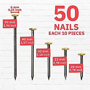 RIKAMA® 50 Picture Nails Gold | Picture Hanging kit | Each 10x 0.75, 1, 1.25, 1.5, 2 inch | Steel Nails for Hanging Pictures | Made in Germany