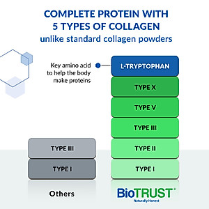 BioTrust Ageless Multi Collagen Peptides Powder – 5 Types (I, II, III, V, X) – Chocolate Collagen Powder for Women & Men – Hydrolyzed Protein – Grass Fed Beef, Fish, Chicken, Eggshell Membrane