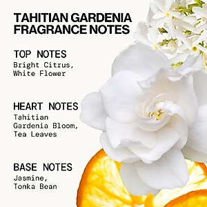 Pacifica Beauty, Wanderlust Spray Perfume Trial Set, Featuring Island Vanilla Mini, 5 Scents, Fragrance Sampler Gift Set, Natural + Essential Oils, Clean, Vegan + Cruelty Free