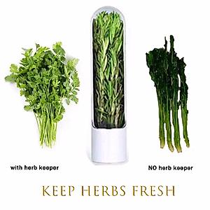 Cilantro Containers For Refrigerator，herb Saver，herb Keeper，glass Storage Containers Vegetable Storage Containers For Refrigerator Keeps Greens Fresh For 2-3 Weeks