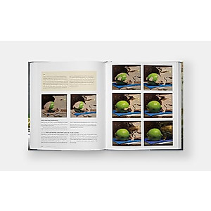 The Art of Still Life: A Contemporary Guide to Classical Techniques, Composition, and Painting in Oil